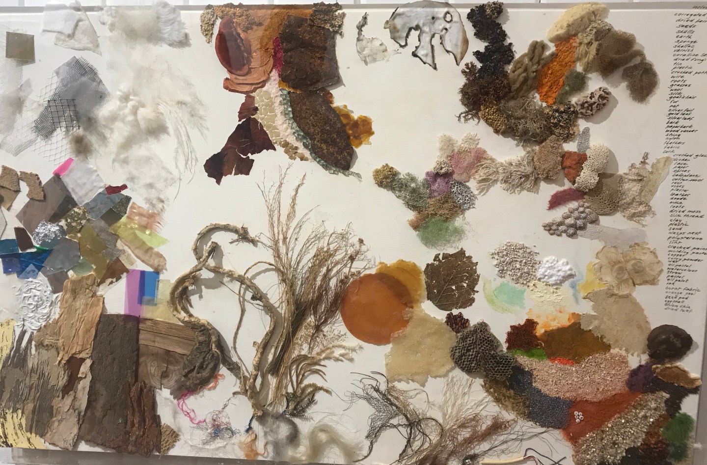 Jeannie Baker Circles Loss of Migrating Shorebirds | Big Sister Blogs ...